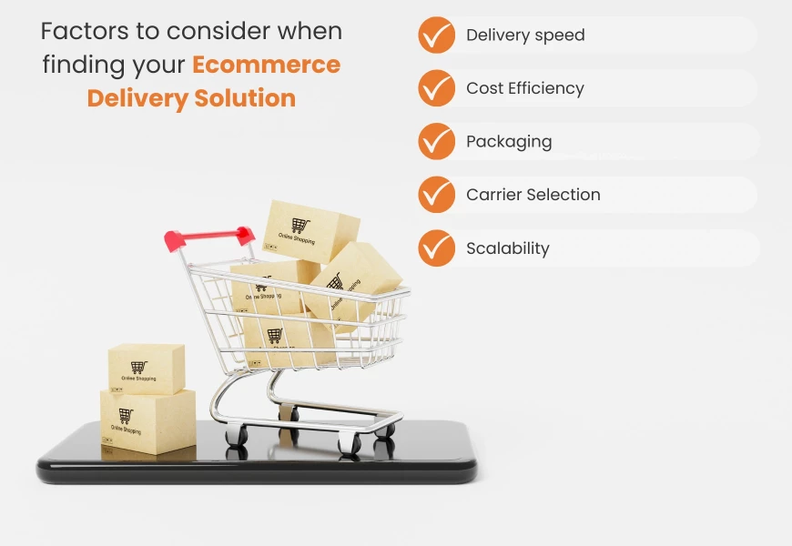 Ecommerce Delivery Management Guide - All You Need to Know | Track-POD