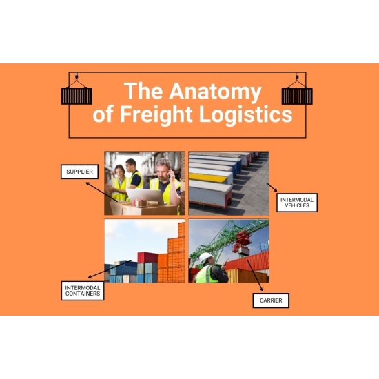 Freight Logistics 101: the Anatomy [Infographic] | Track-POD