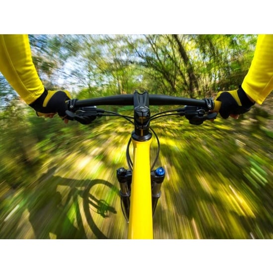 What Is Rush Delivery & How to Do It Right? | Track-POD